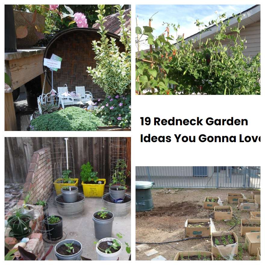 19 Redneck Garden Ideas You Gonna Love | SharonSable