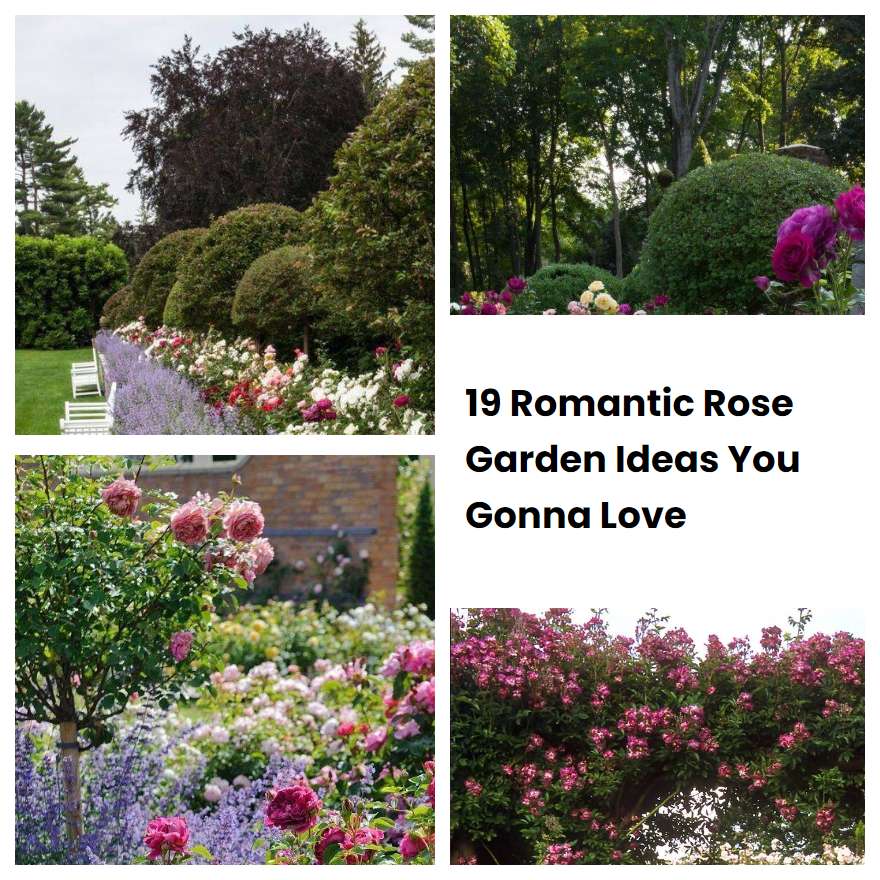 19 Romantic Rose Garden Ideas You Gonna Love | SharonSable