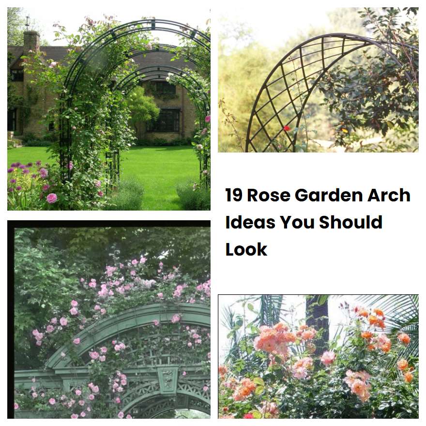 19 Rose Garden Arch Ideas You Should Look | SharonSable