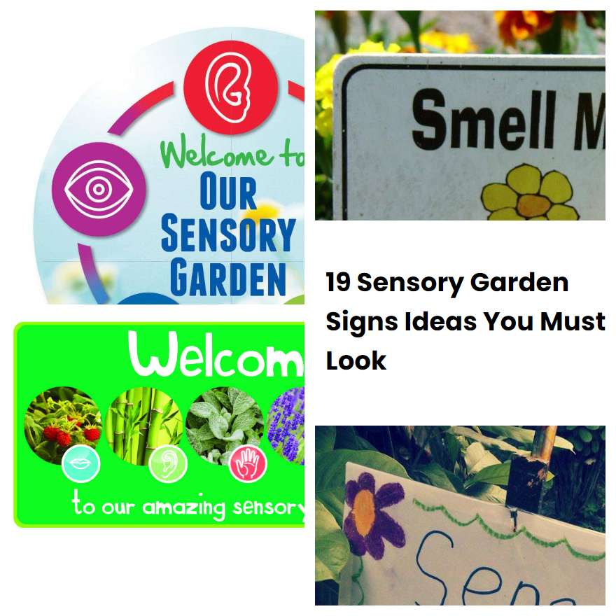 19 Sensory Garden Signs Ideas You Must Look | SharonSable