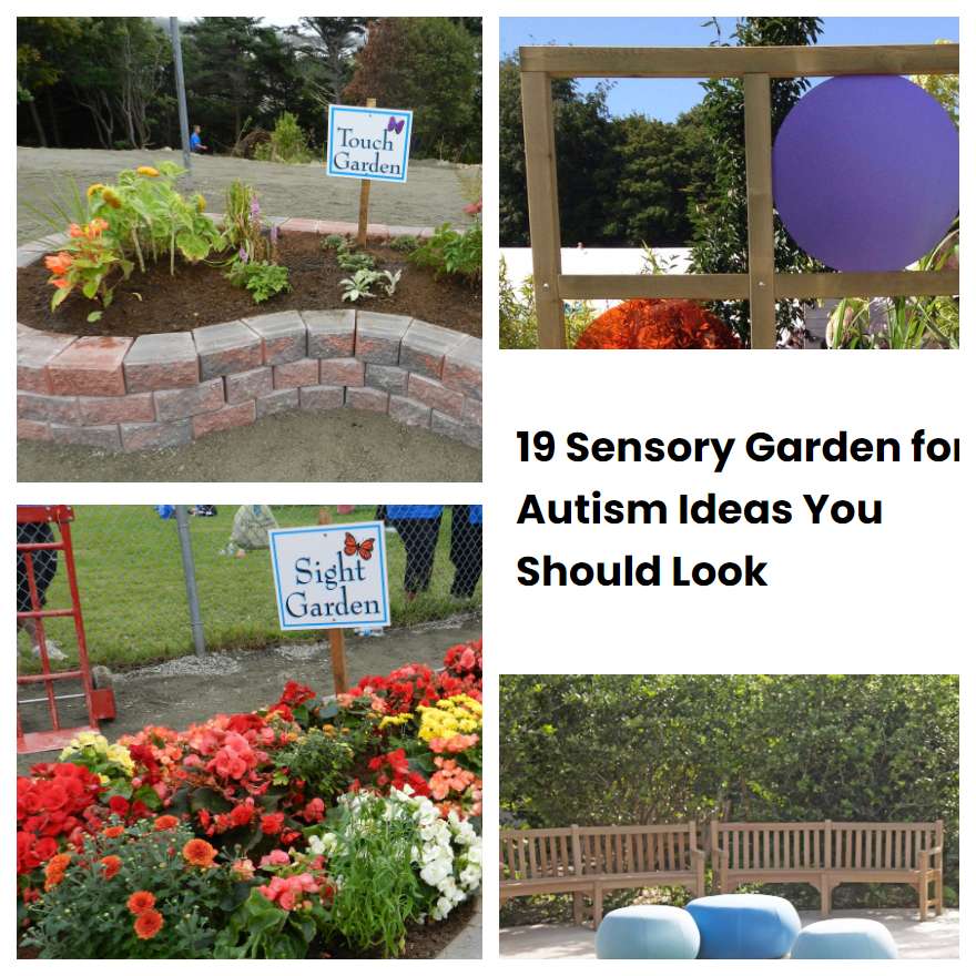 19 Sensory Garden for Autism Ideas You Should Look | SharonSable