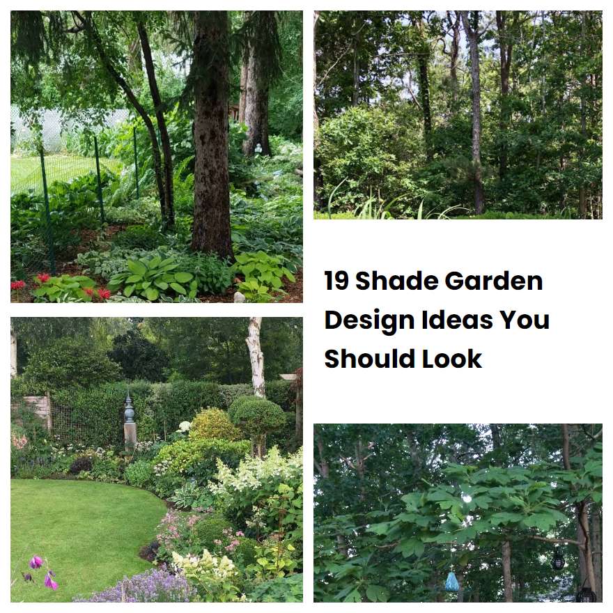 19 Shade Garden Design Ideas You Should Look | SharonSable