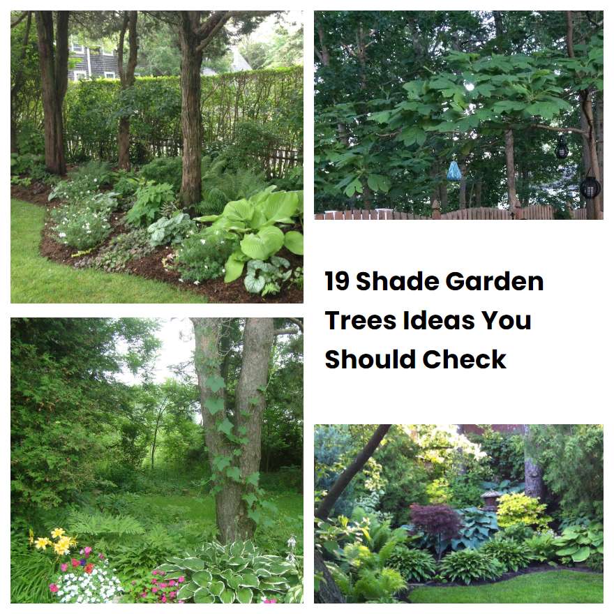 19 Shade Garden Trees Ideas You Should Check | SharonSable