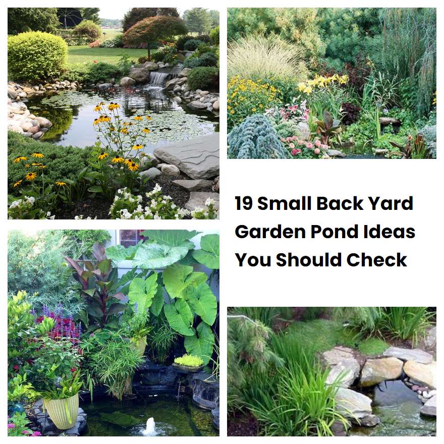 19 Small Back Yard Garden Pond Ideas You Should Check | SharonSable