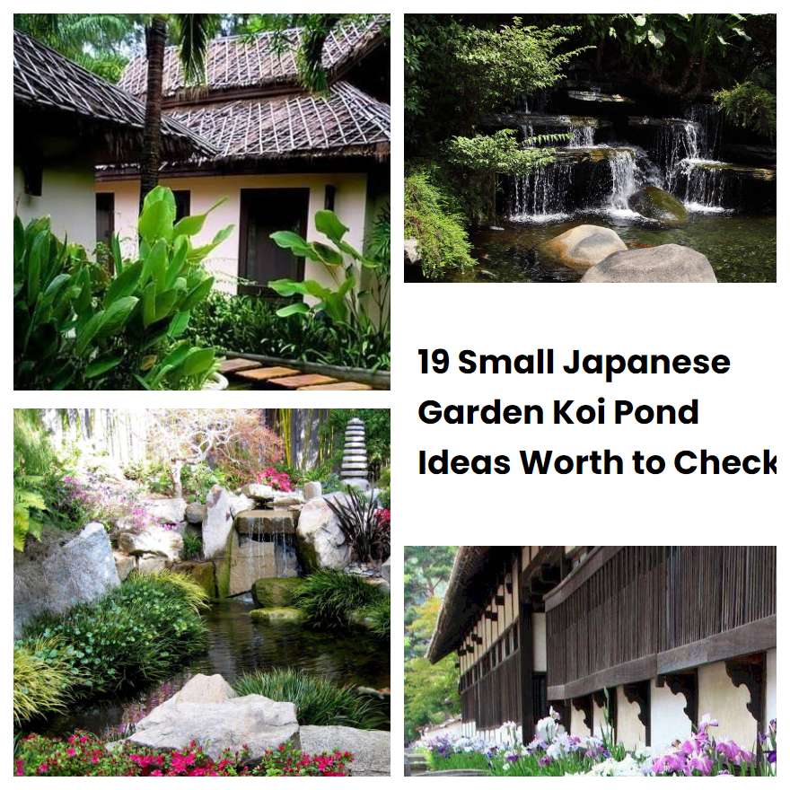 19 Small Japanese Garden Koi Pond Ideas Worth to Check | SharonSable