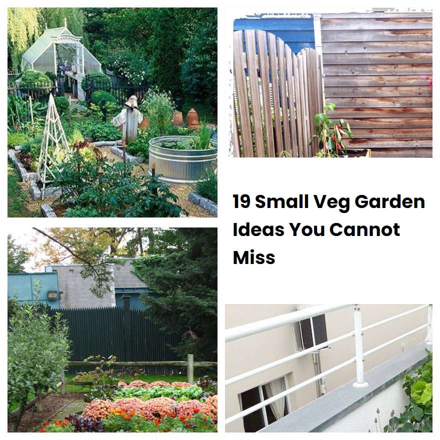 19 Small Veg Garden Ideas You Cannot Miss | SharonSable