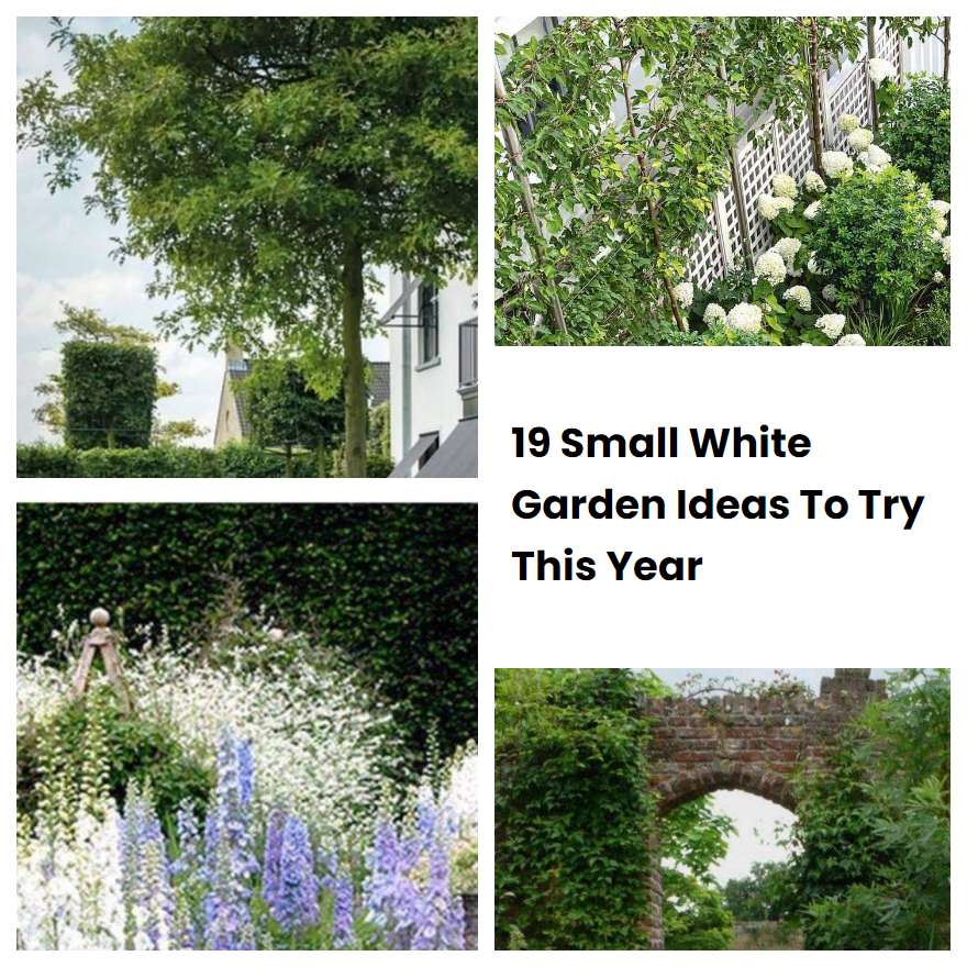19 Small White Garden Ideas To Try This Year | SharonSable