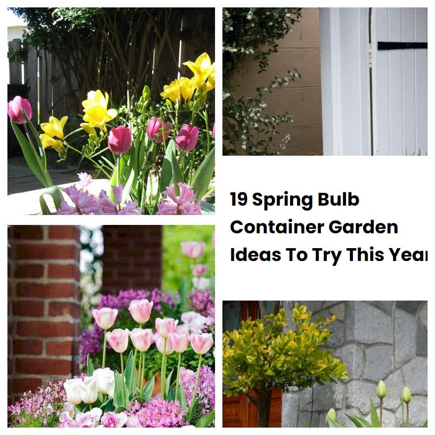 19 Spring Bulb Container Garden Ideas To Try This Year | SharonSable