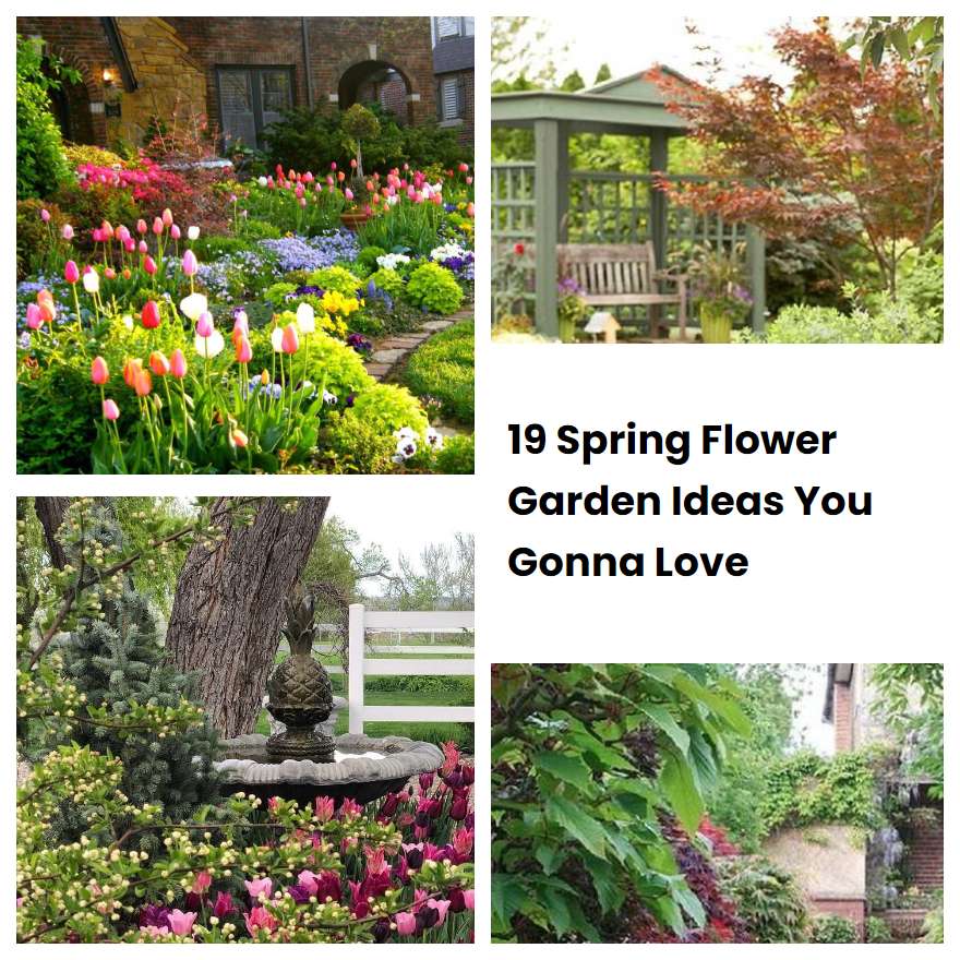 19 Spring Flower Garden Ideas You Gonna Love | SharonSable