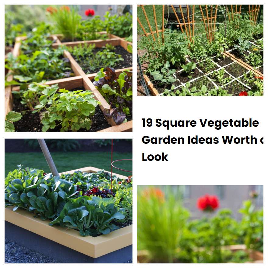 19 Square Vegetable Garden Ideas Worth a Look | SharonSable