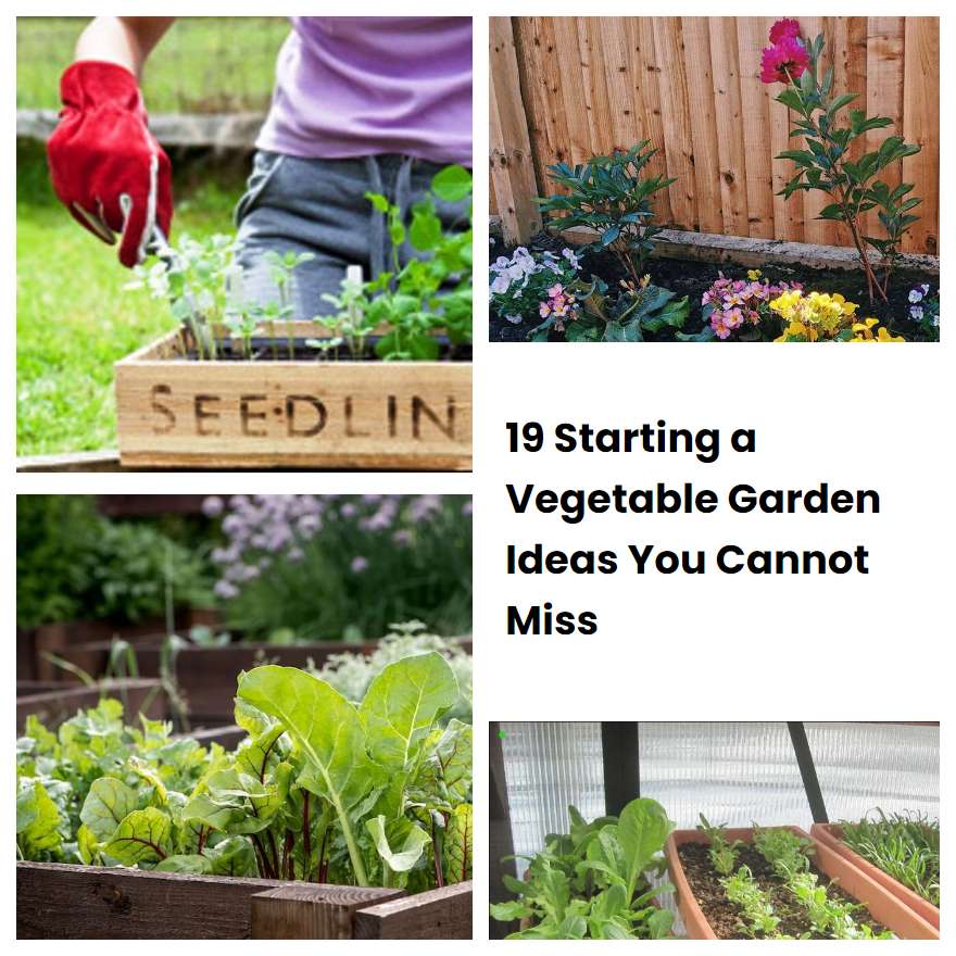 19 Starting a Vegetable Garden Ideas You Cannot Miss | SharonSable
