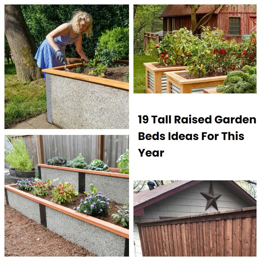 19 Tall Raised Garden Beds Ideas For This Year Sharonsable