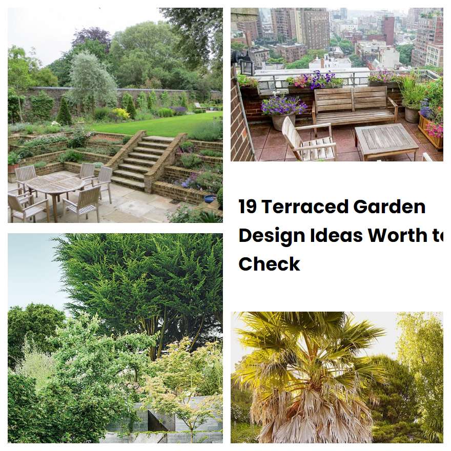 19 Terraced Garden Design Ideas Worth to Check | SharonSable