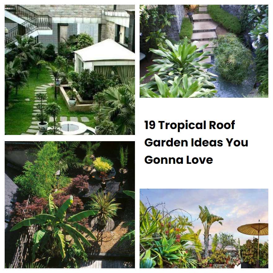 19 Tropical Roof Garden Ideas You Gonna Love | SharonSable