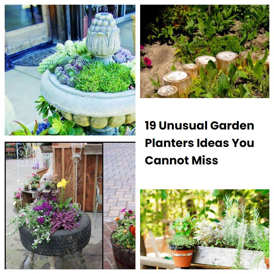 19 Unusual Garden Planters Ideas You Cannot Miss | SharonSable