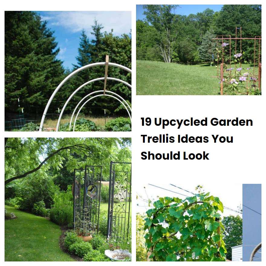 19 Upcycled Garden Trellis Ideas You Should Look | SharonSable