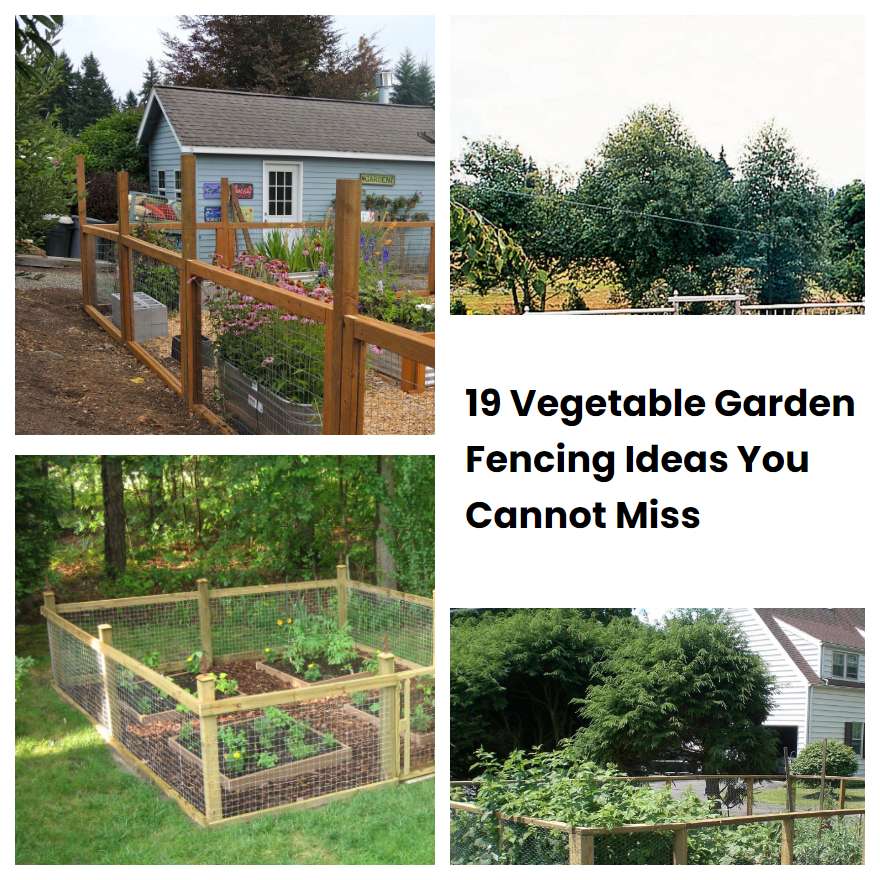 19 Vegetable Garden Fencing Ideas You Cannot Miss | SharonSable