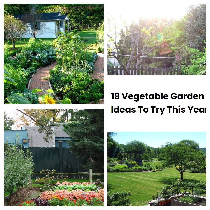 19 Vegetable Garden Ideas To Try This Year | SharonSable