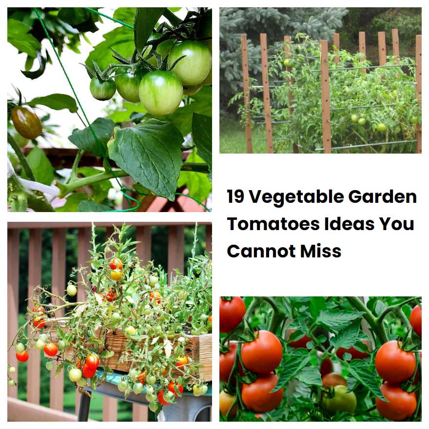 19 Vegetable Garden Tomatoes Ideas You Cannot Miss | SharonSable