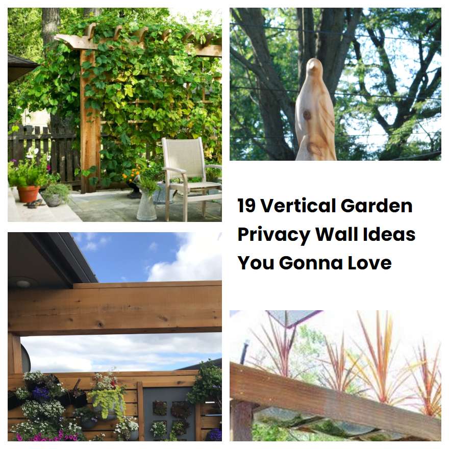 19 Vertical Garden Privacy Wall Ideas You Gonna Love | SharonSable