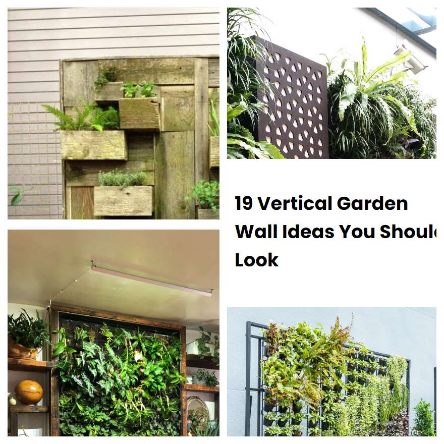 19 Vertical Garden Wall Ideas You Should Look | SharonSable