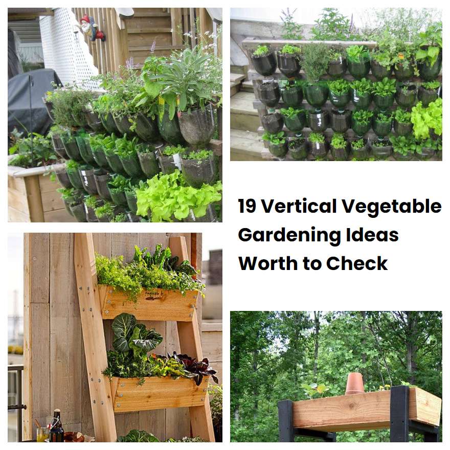 19 Vertical Vegetable Gardening Ideas Worth to Check | SharonSable
