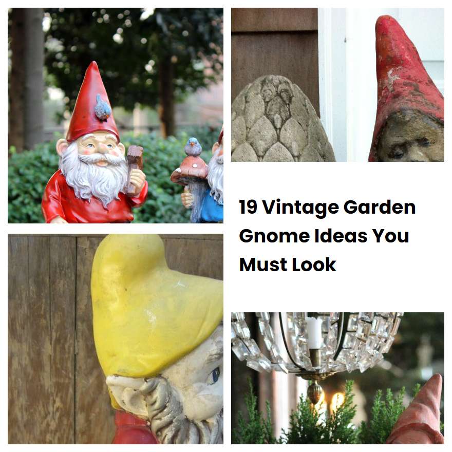 19 Vintage Garden Gnome Ideas You Must Look | SharonSable