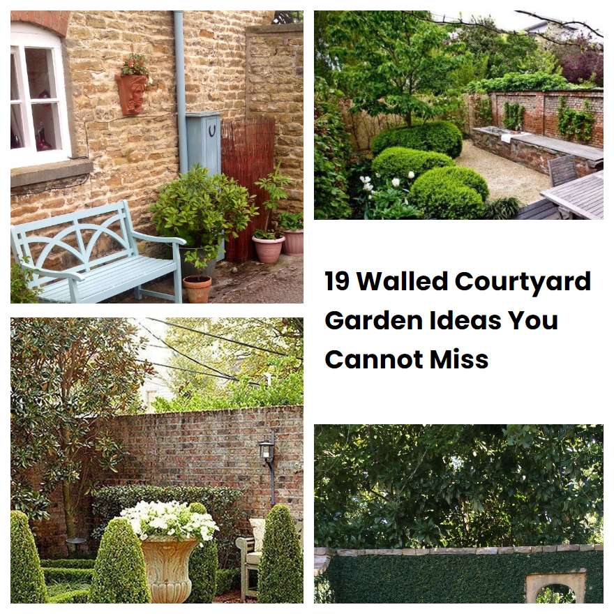 19 Walled Courtyard Garden Ideas You Cannot Miss | SharonSable