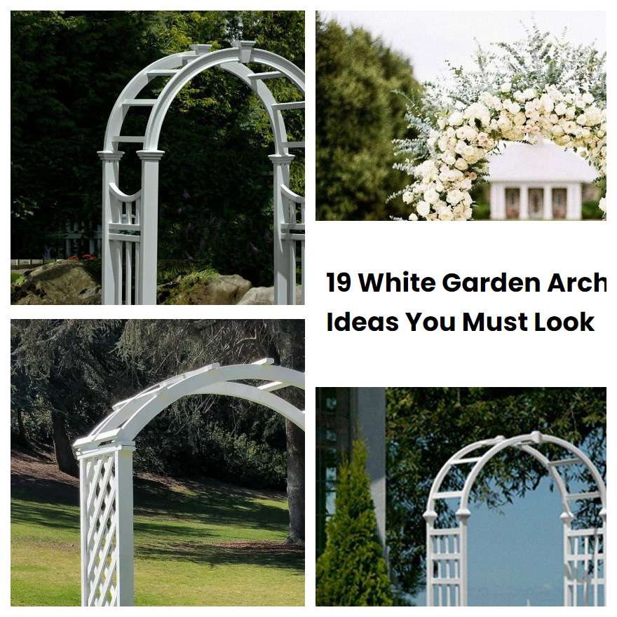 19 White Garden Arch Ideas You Must Look | SharonSable