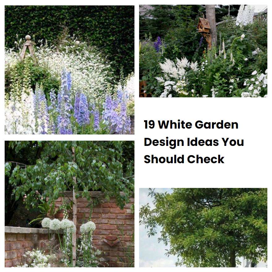 19 White Garden Design Ideas You Should Check | SharonSable