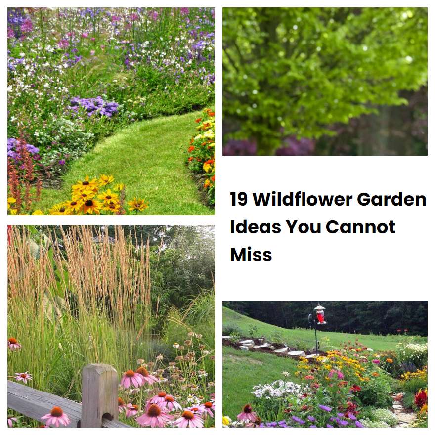 19 Wildflower Garden Ideas You Cannot Miss | SharonSable