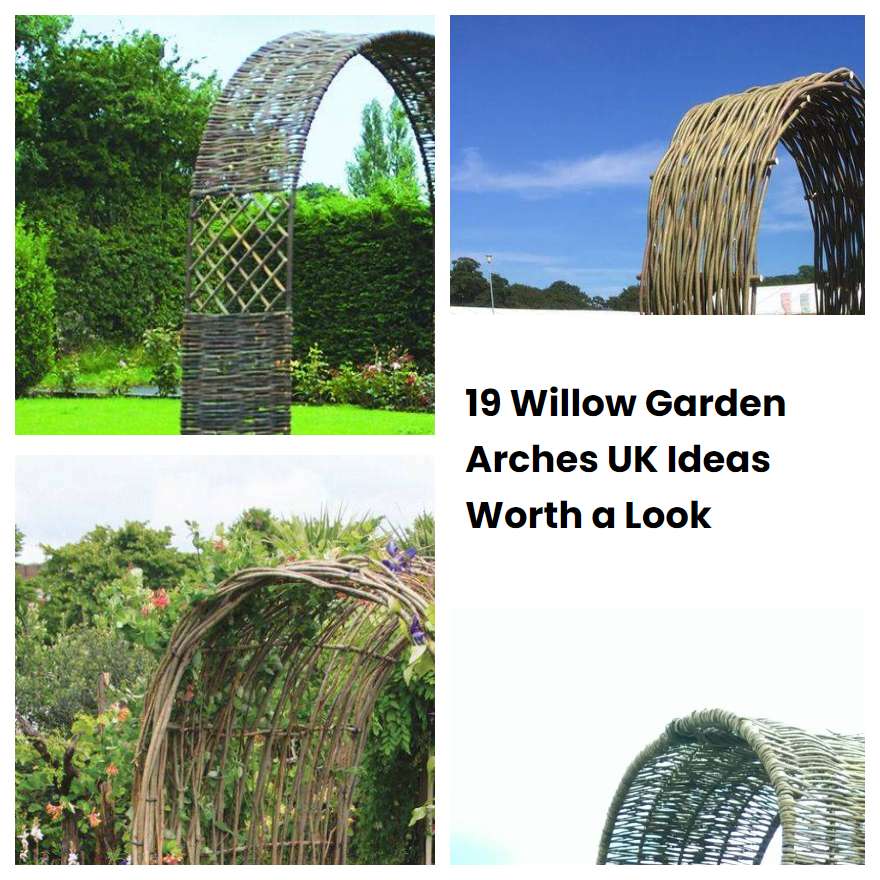 19 Willow Garden Arches UK Ideas Worth a Look | SharonSable
