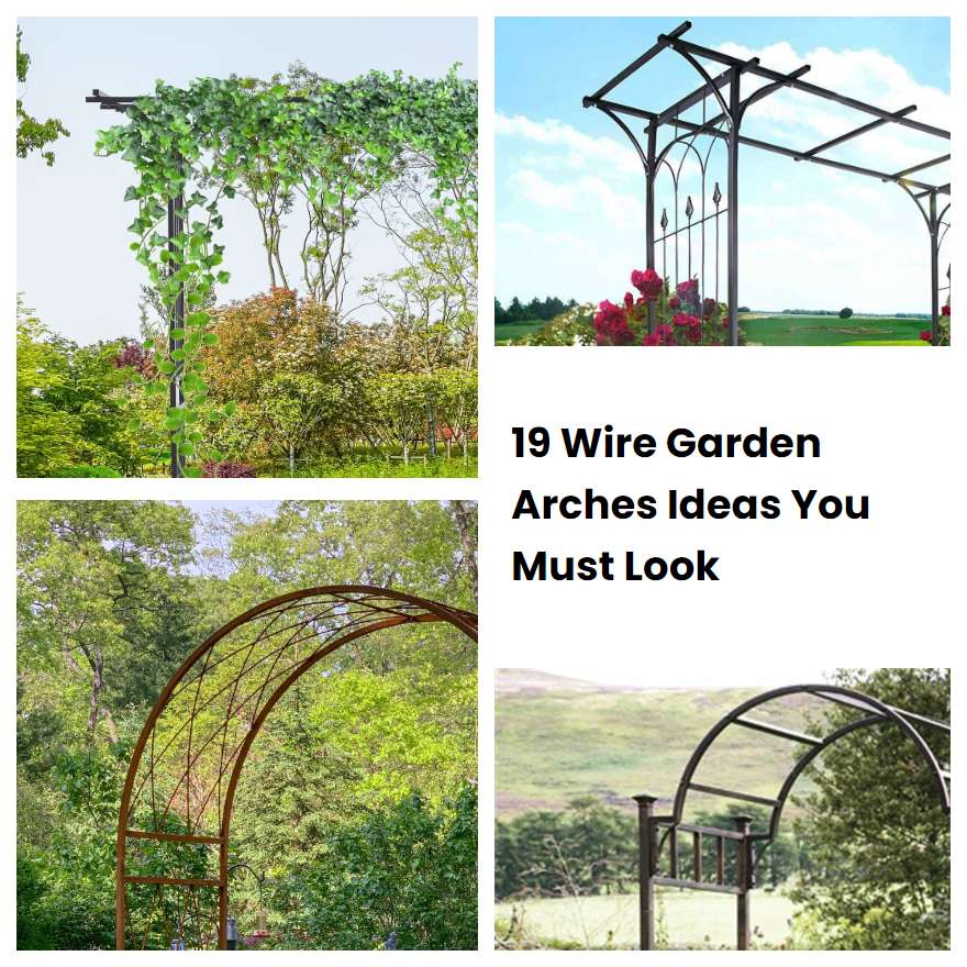 19 Wire Garden Arches Ideas You Must Look | SharonSable