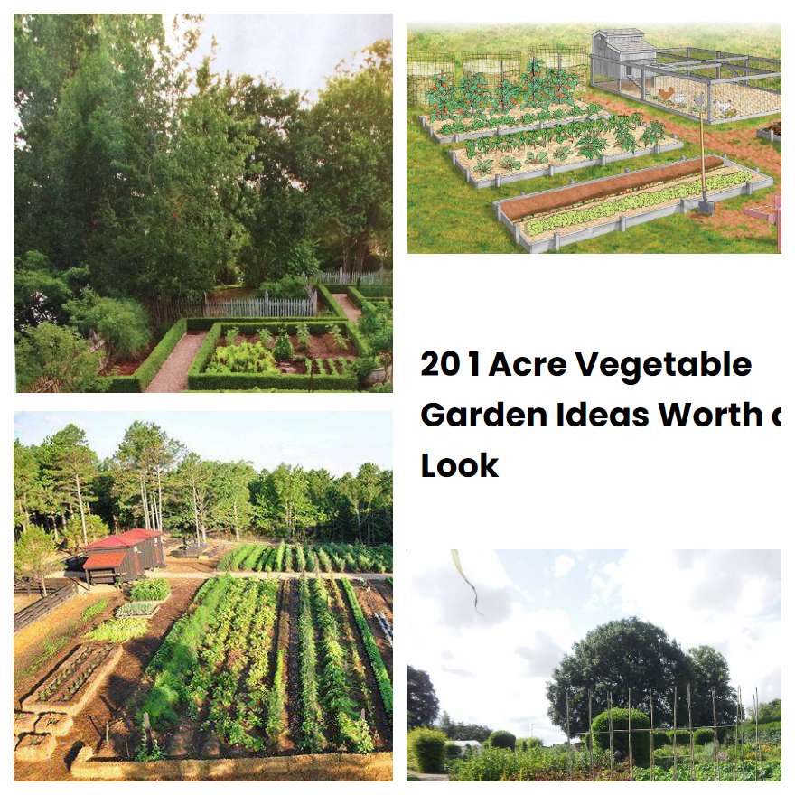 20 1 Acre Vegetable Garden Ideas Worth a Look | SharonSable