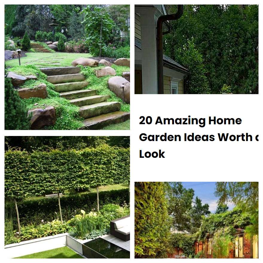 20 Amazing Home Garden Ideas Worth a Look | SharonSable