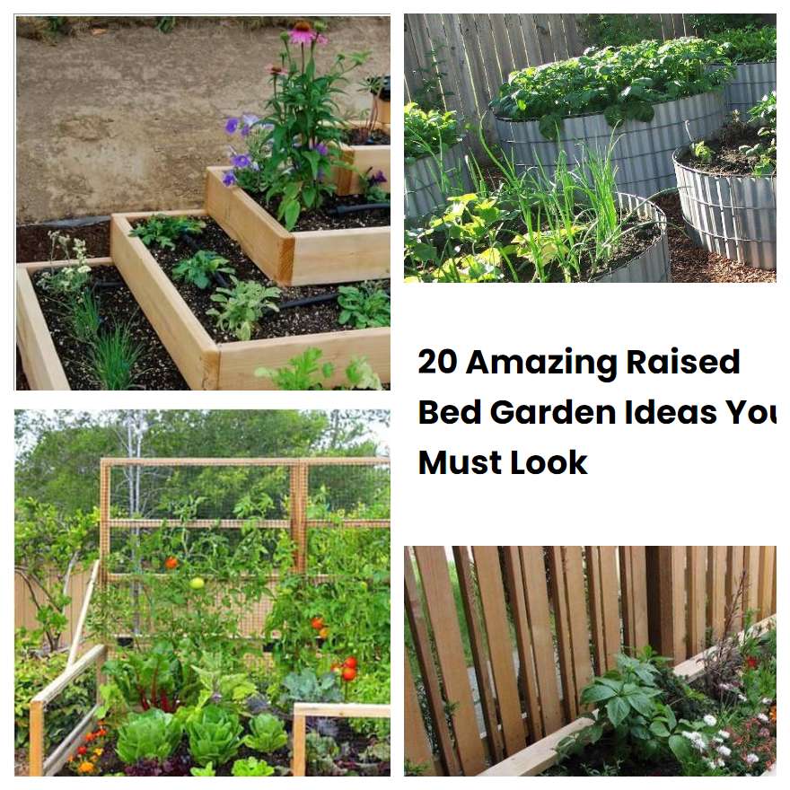 20 Amazing Raised Bed Garden Ideas You Must Look | SharonSable