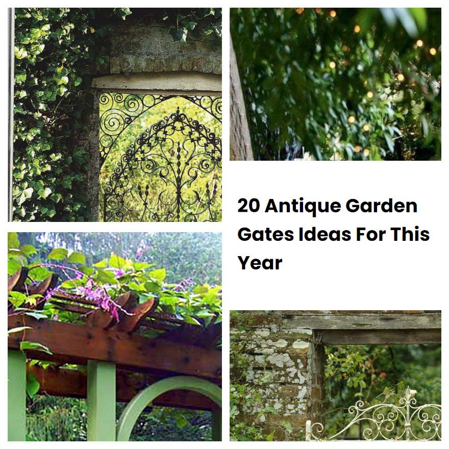 20 Antique Garden Gates Ideas For This Year | SharonSable