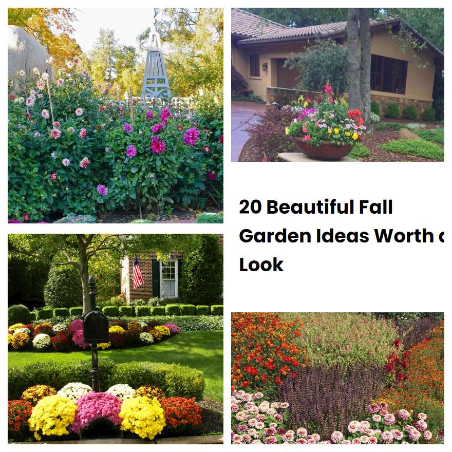 20 Beautiful Fall Garden Ideas Worth a Look | SharonSable