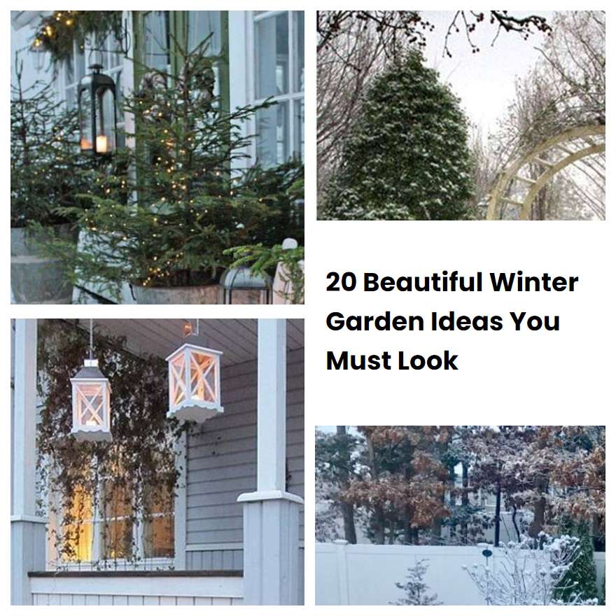 20 Beautiful Winter Garden Ideas You Must Look | SharonSable