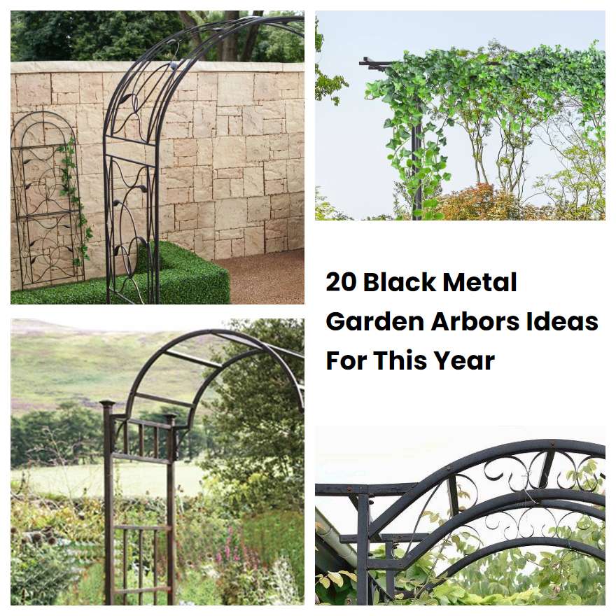 20 Black Metal Garden Arbors Ideas For This Year | SharonSable