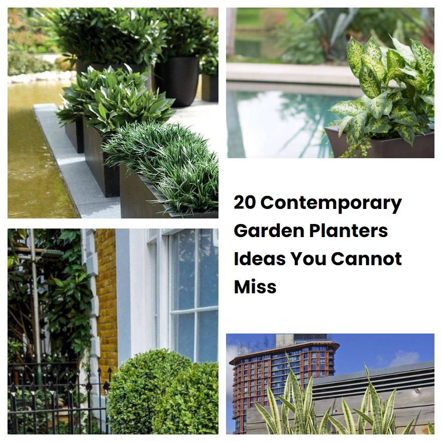 20 Contemporary Garden Planters Ideas You Cannot Miss | SharonSable