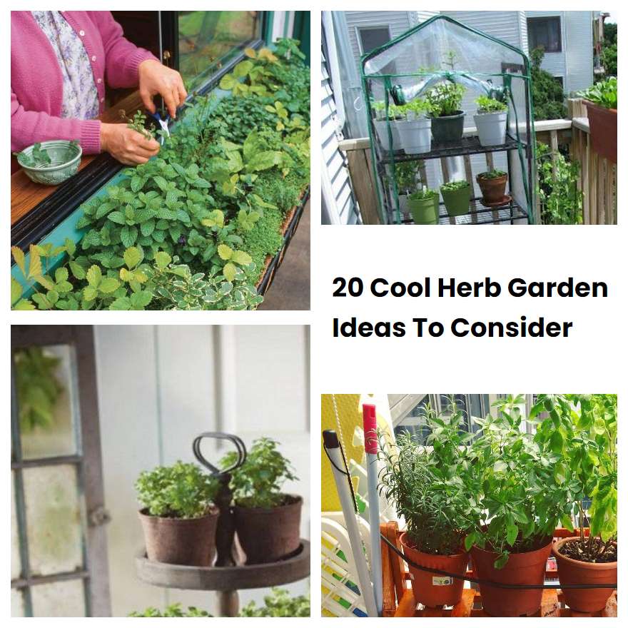 20 Cool Herb Garden Ideas To Consider | SharonSable