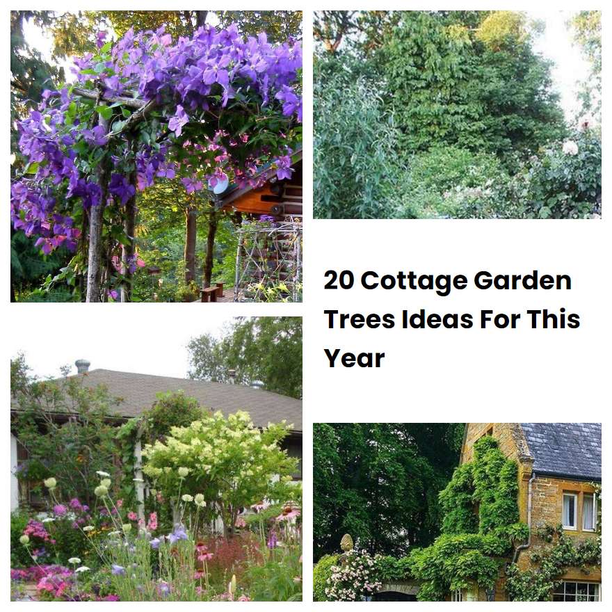 20 Cottage Garden Trees Ideas For This Year | SharonSable