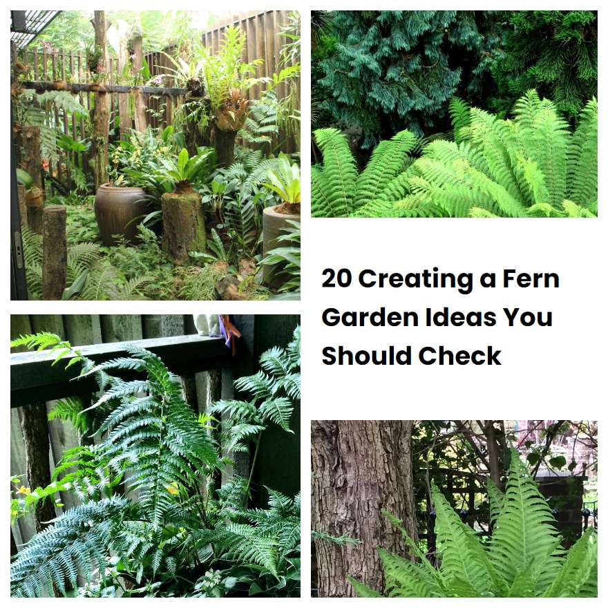 20 Creating a Fern Garden Ideas You Should Check | SharonSable