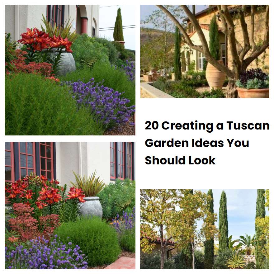 20 Creating a Tuscan Garden Ideas You Should Look | SharonSable