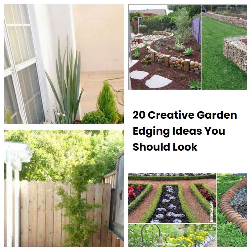 20 Creative Garden Edging Ideas You Should Look | SharonSable