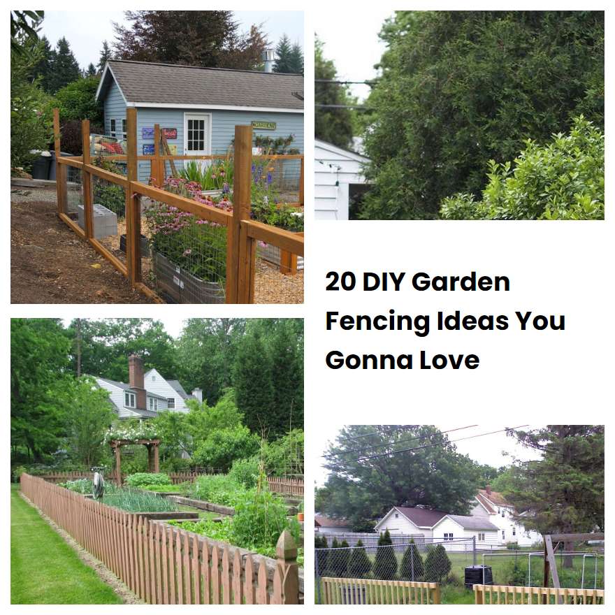 21 DIY Deer-Proof Raised Garden Beds Ideas Worth a Look | SharonSable