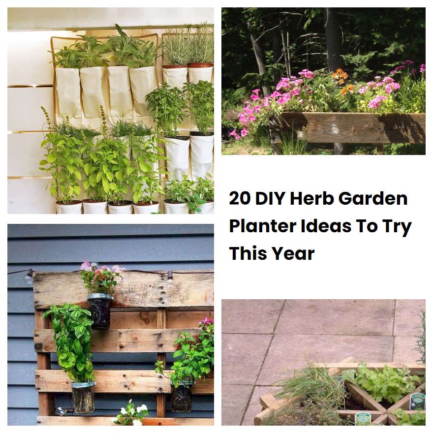 20 DIY Herb Garden Planter Ideas To Try This Year | SharonSable