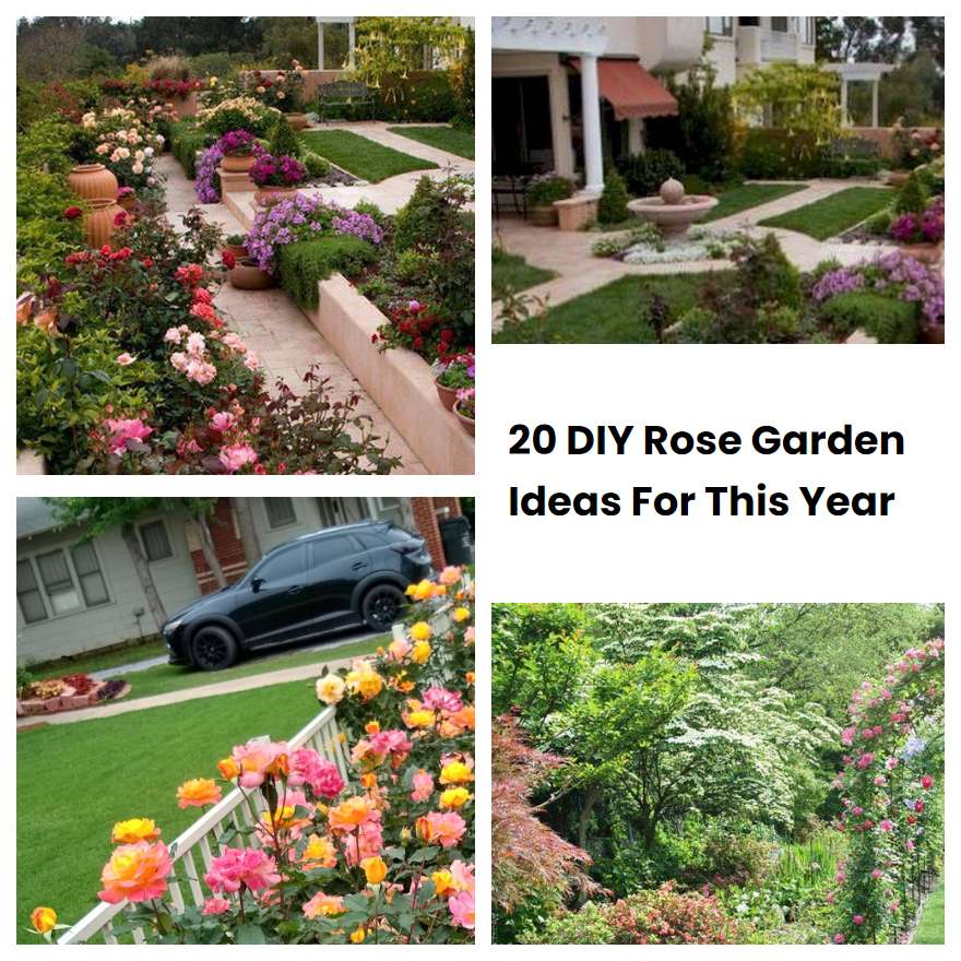 20 DIY Rose Garden Ideas For This Year | SharonSable
