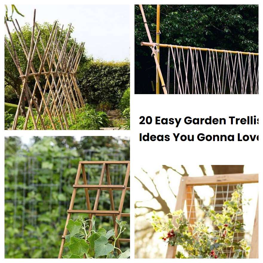 20 Easy Garden Trellis Ideas You Gonna Love | SharonSable